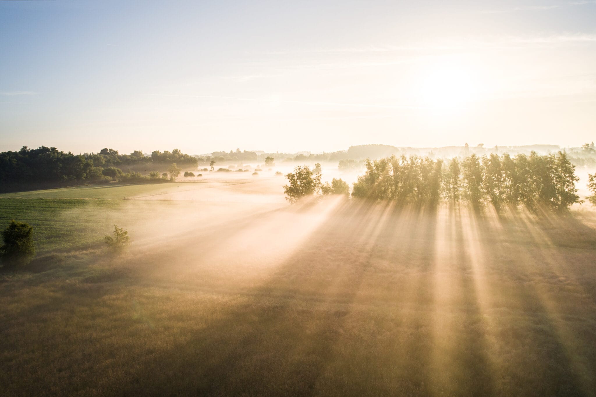 MER en MER-screening - Emelia
